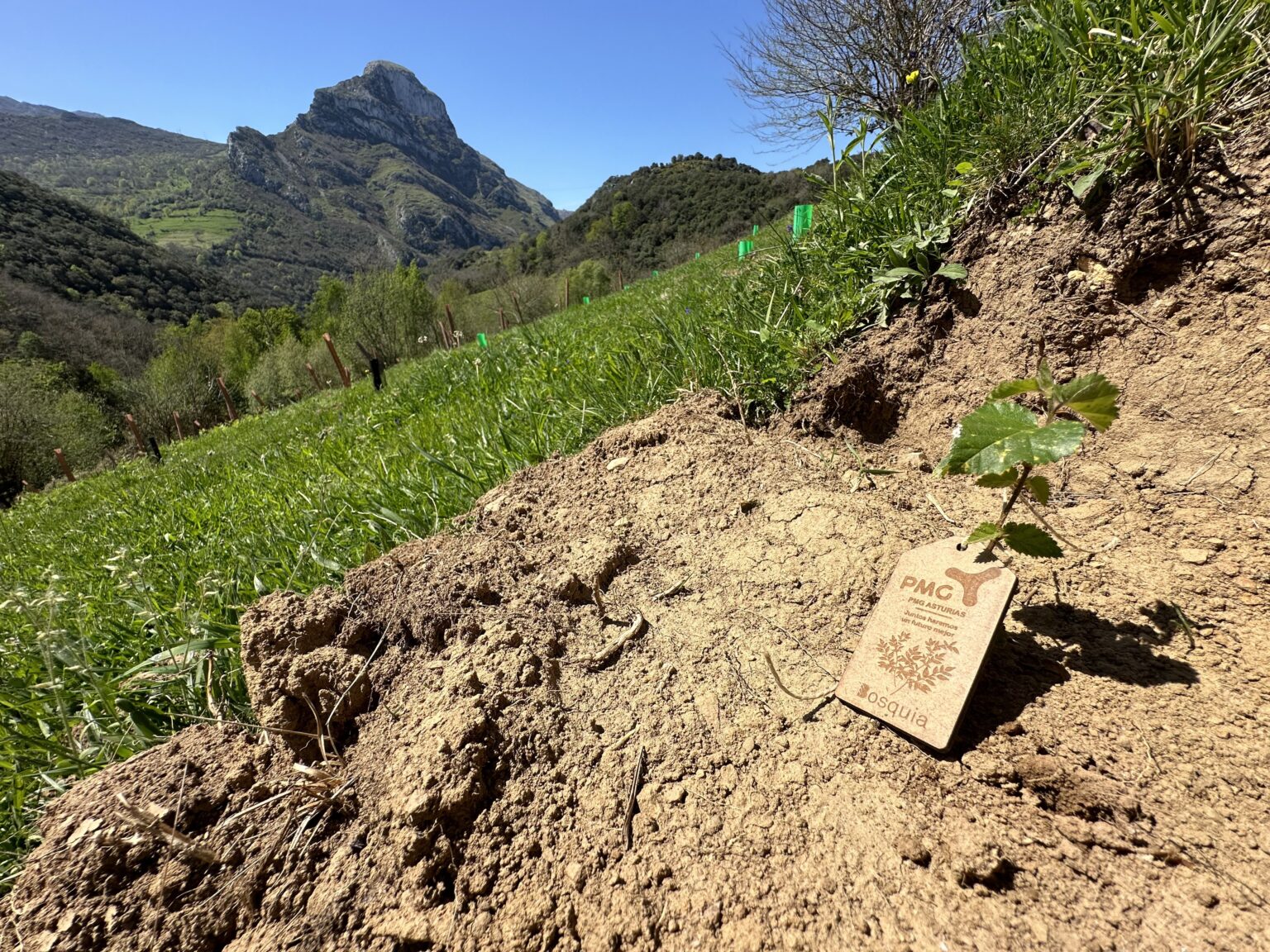 PMG – Passion drives us